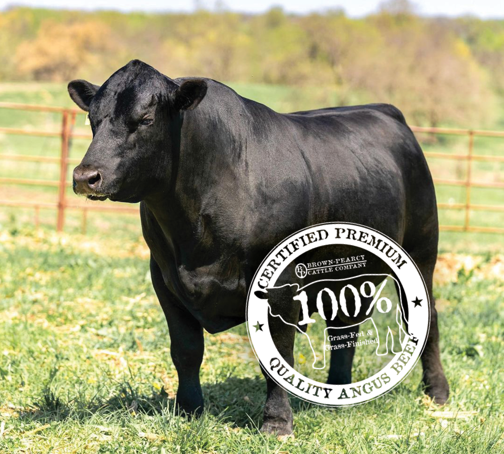 Premium Angus Beef | Buy Grass-Fed Bulk Beef Online – Brown Pearcy